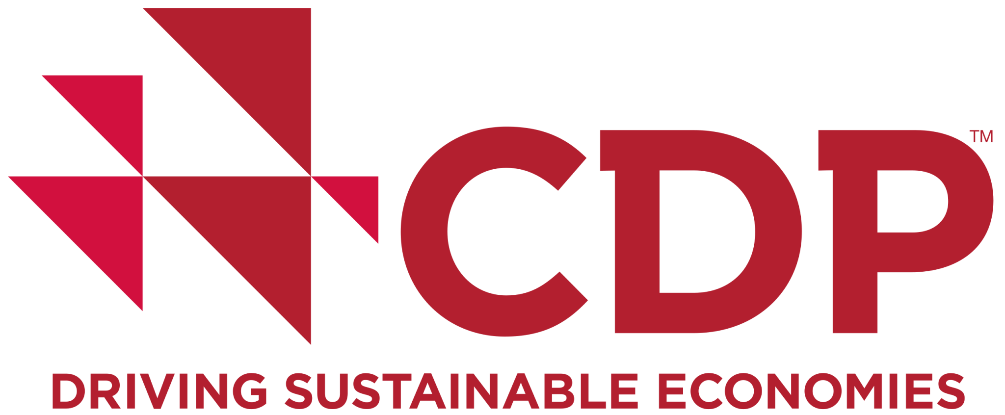 Carbon Disclosure Project (CDP) - Metsims Sustainability